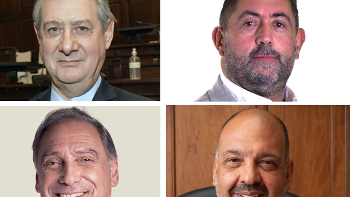 Elecciones: ya hay más de 30 candidatos a intendentes en siete comunas