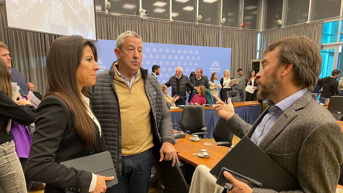 Siete de los diez diputados mendocinos aprobaron la Ley Bases