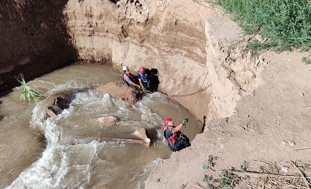 Una mujer cayó al canal Cacique Guaymallén mientras caminaba por el ...