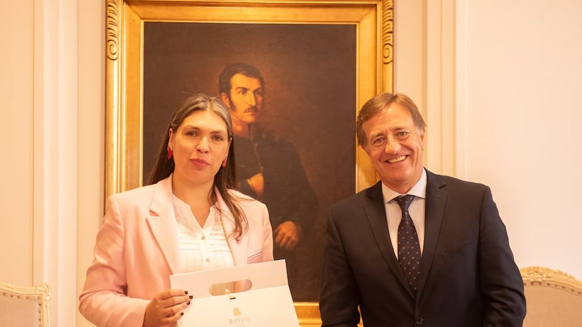 Suarez recibió a la embajadora de Chile y evalúan alternativas para ...