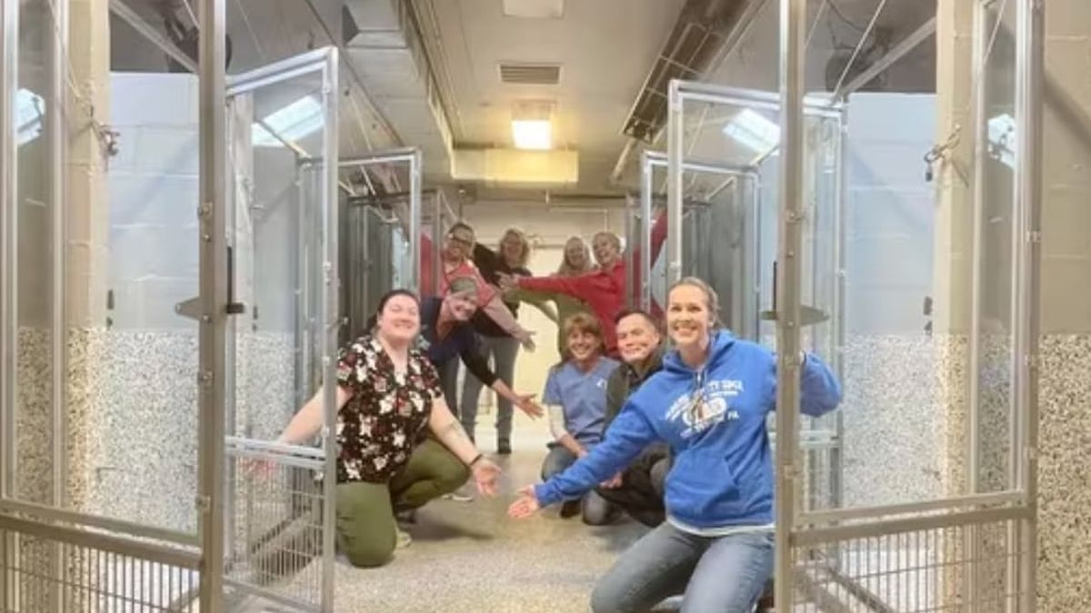 Un refugio animal quedó vacío y celebró la adopción de todas sus ...
