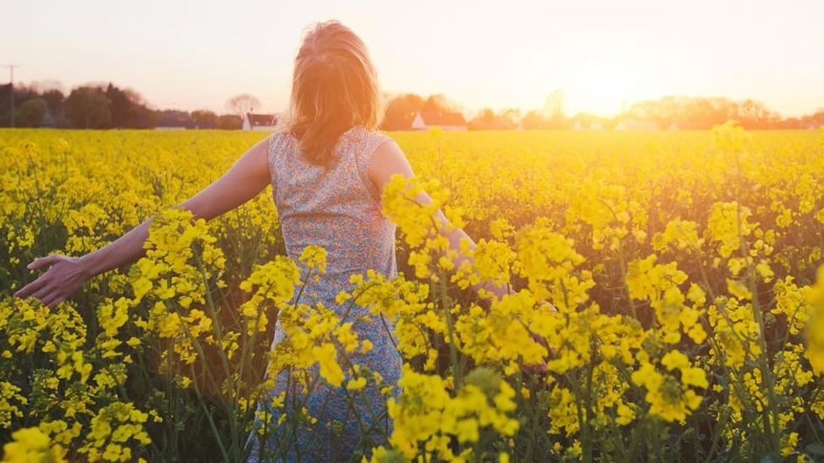 Manifestar: qué es y cómo practicarlo diariamente para transformar tu ...