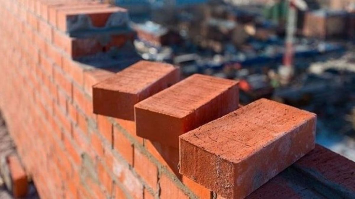 Un año productivo para la Red Edificar