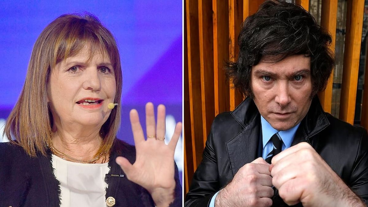 Bullrich confirmó que si llega a ser presidenta hará una alianza legislativa con Milei