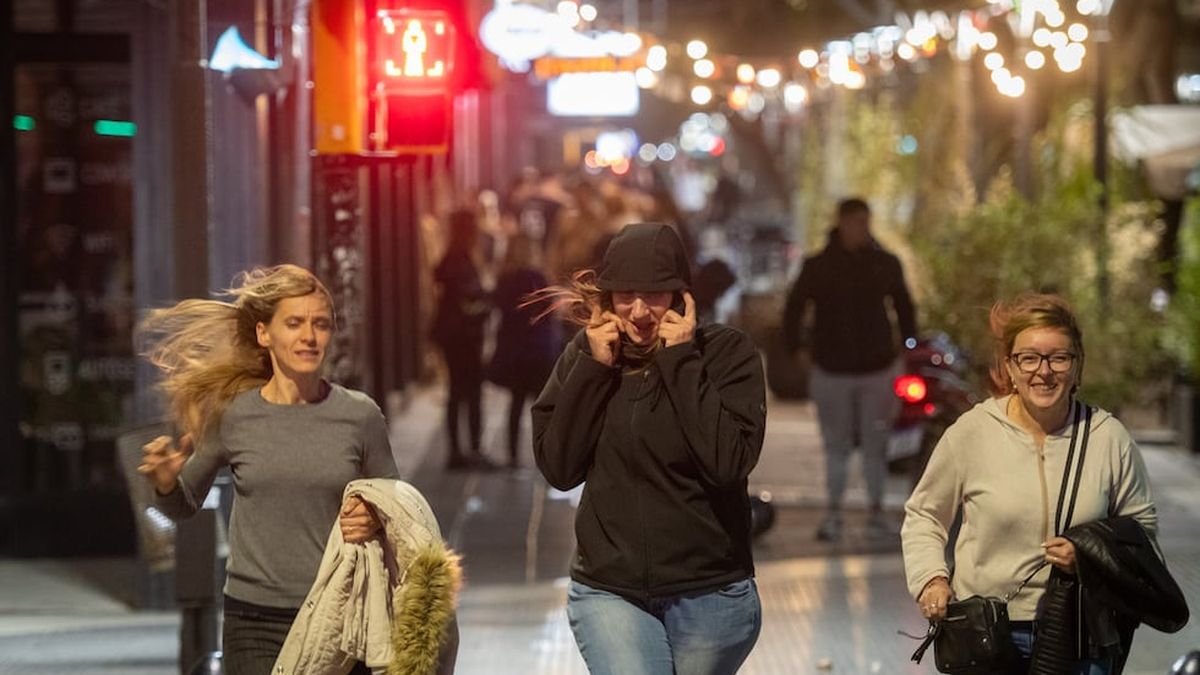 Alerta por nevadas, fuertes ráfagas de viento y muy frío: así estará el ...