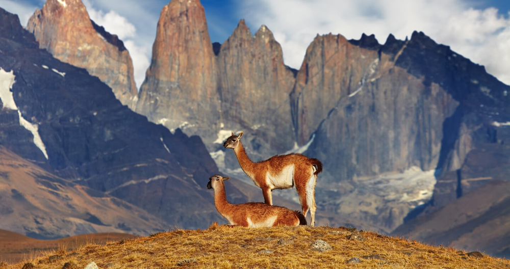 Visitar los destinos más exóticos de Chile: cómo llegar y ver la mayor ...