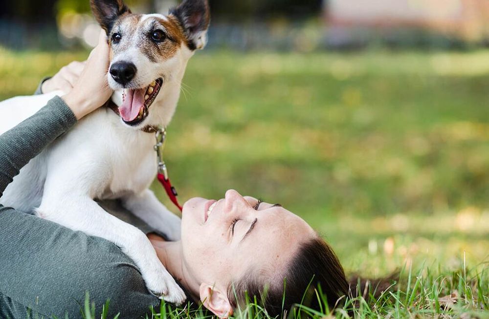 Mascotas y salud: Los beneficios para perros, gatos y personas que conviven