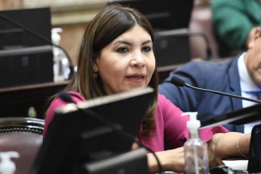 No creo que llegue al 26 de octubre: el polémico comentario de una senadora peronista sobre el ...
