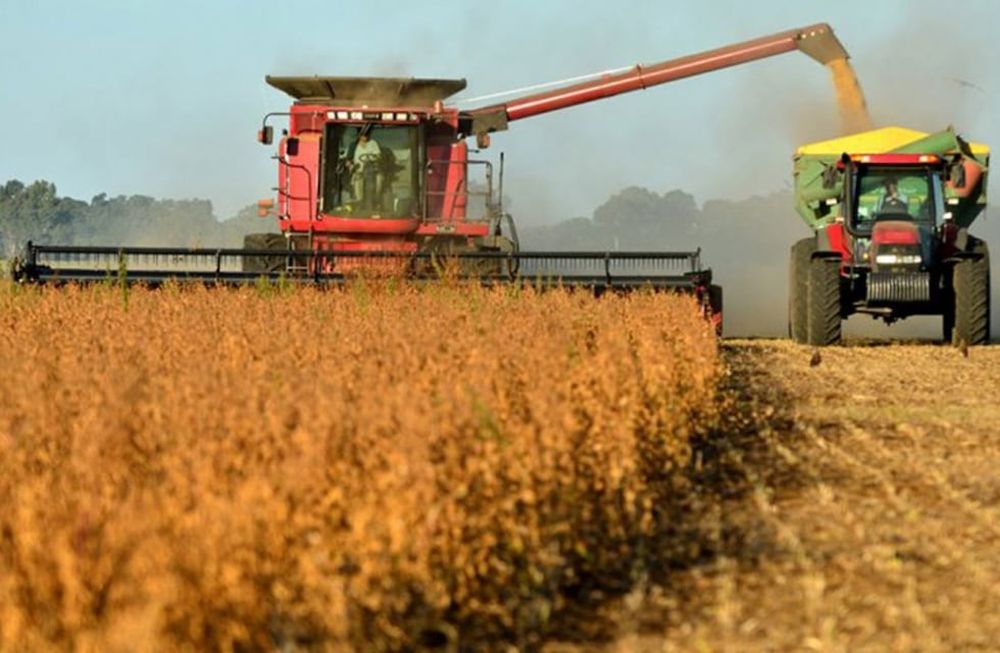 Venta de trigo argentino a China, gran oportunidad