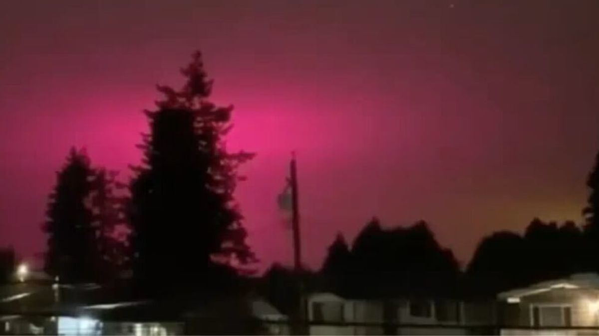 Vieron una misteriosa luz violeta en el cielo, creyeron que era una ...