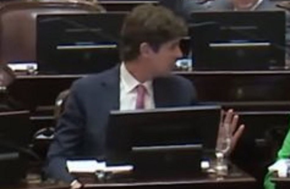 Video: el voto “disimulado” de Martín Lousteau a favor del dietazo en el Senado