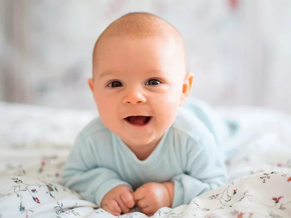 Advertencia de la Sociedad Argentina de Pediatría: cada semana fallece ...