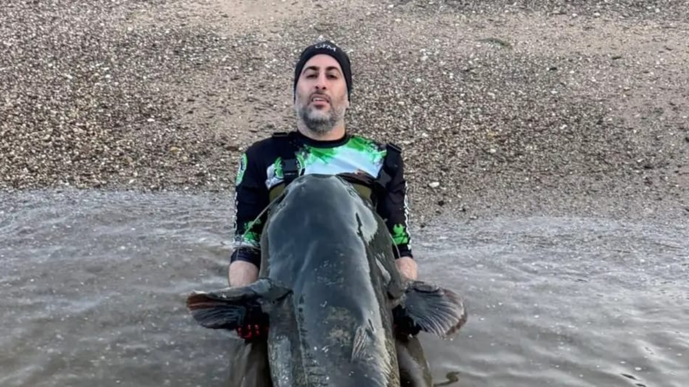 Pesca récord en Europa: capturan un pez monstruoso de 2,49 metros y ...