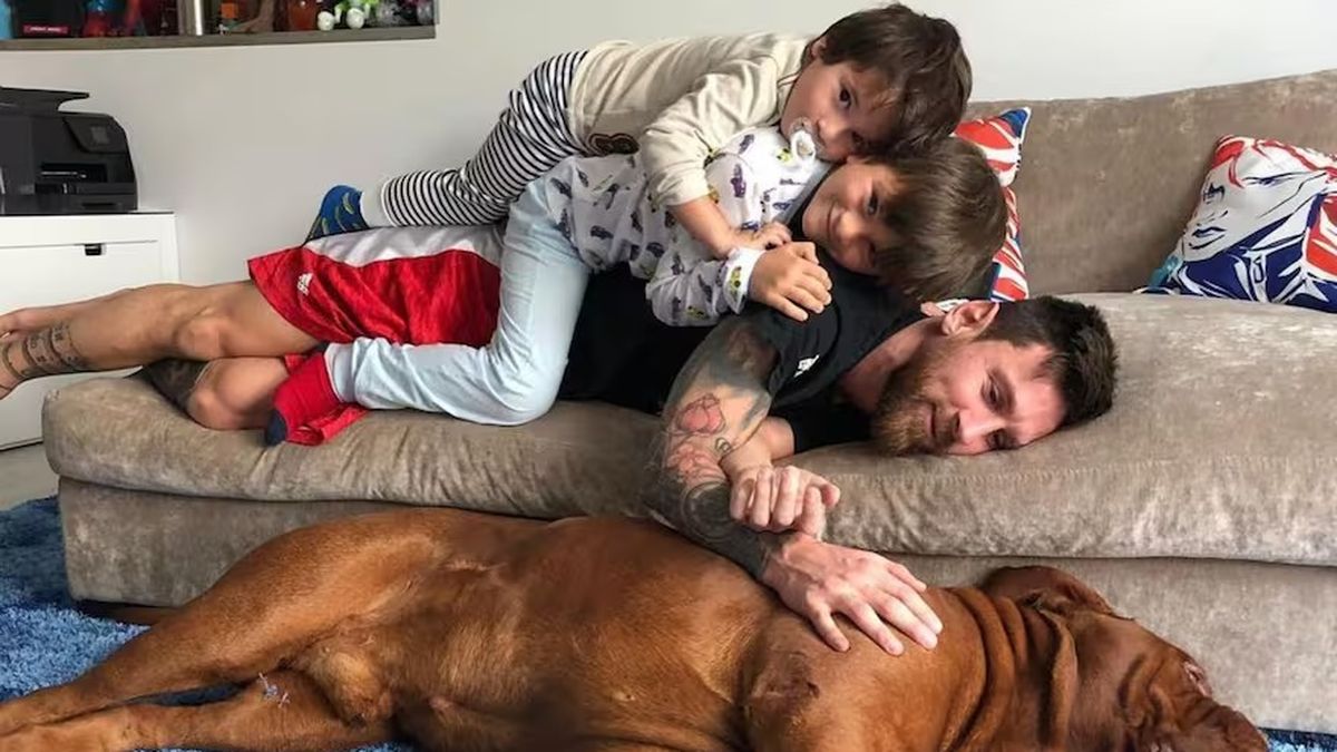 Día del Perro: de Emilia a Wanda Nara, estos son los que tienen los famosos
