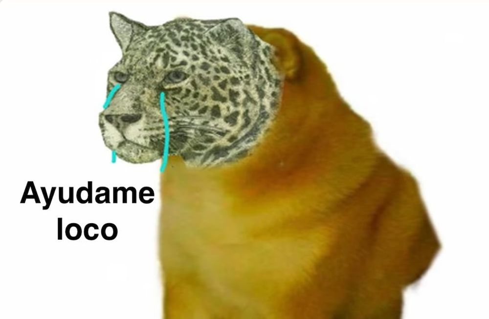 El dólar rozó los 500 pesos y “ayudame loco” se convirtió en tendencia ...