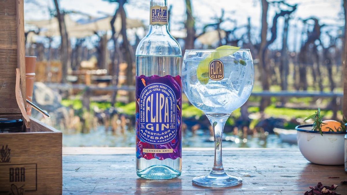 Un gin mendocino fue escogido por World Drinks Awards como uno de los mejor del 2025