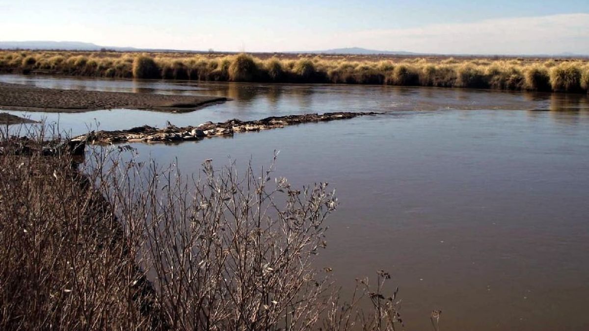 Irrigación respondió con firmeza tras la denuncia de La Pampa por el ...
