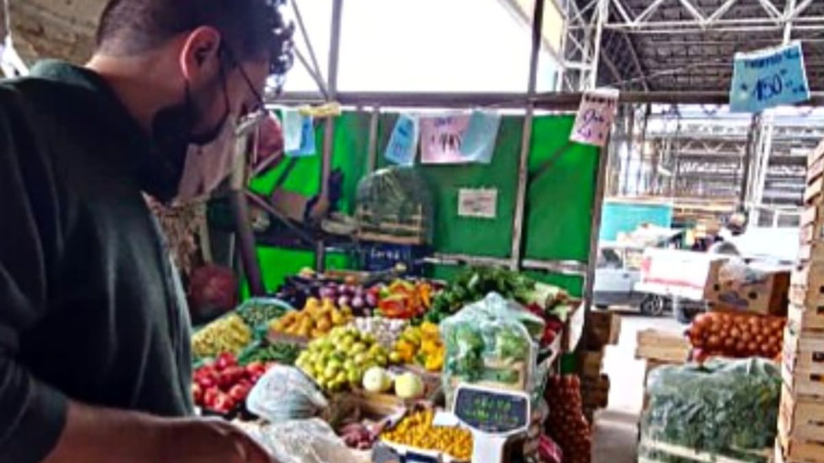 Qué deben hacer los productores para poder comerciar frutas en áreas ...