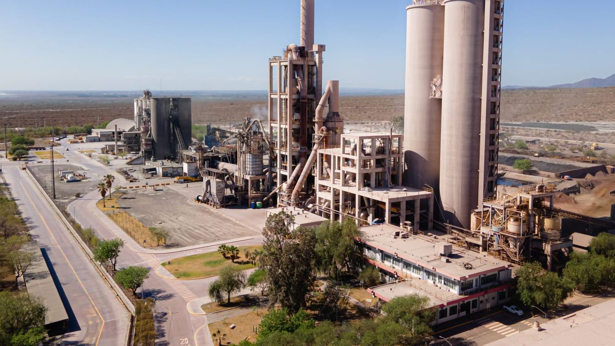 Fábrica de Mendoza impulsa el cambio a bolsas de 25 kg de cemento y proyecta una inversión de ...