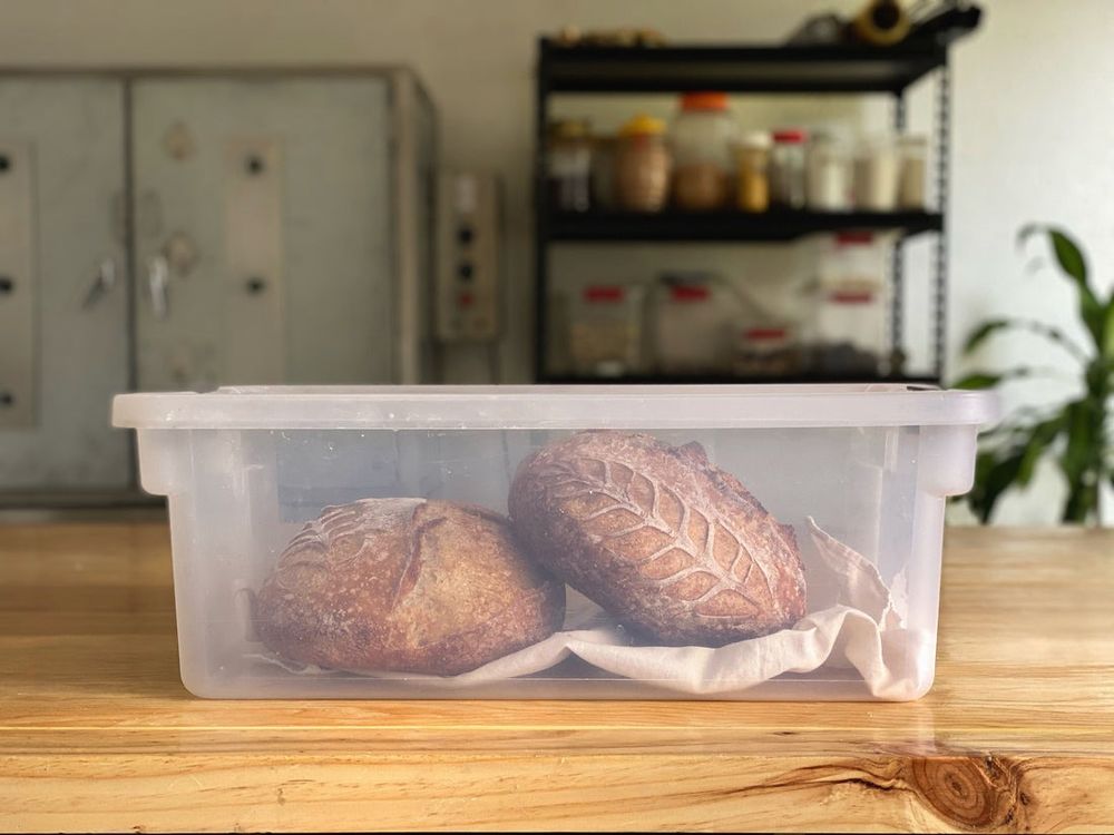 Ni papel aluminio ni film: la mejor forma para guardar el pan y que se ...