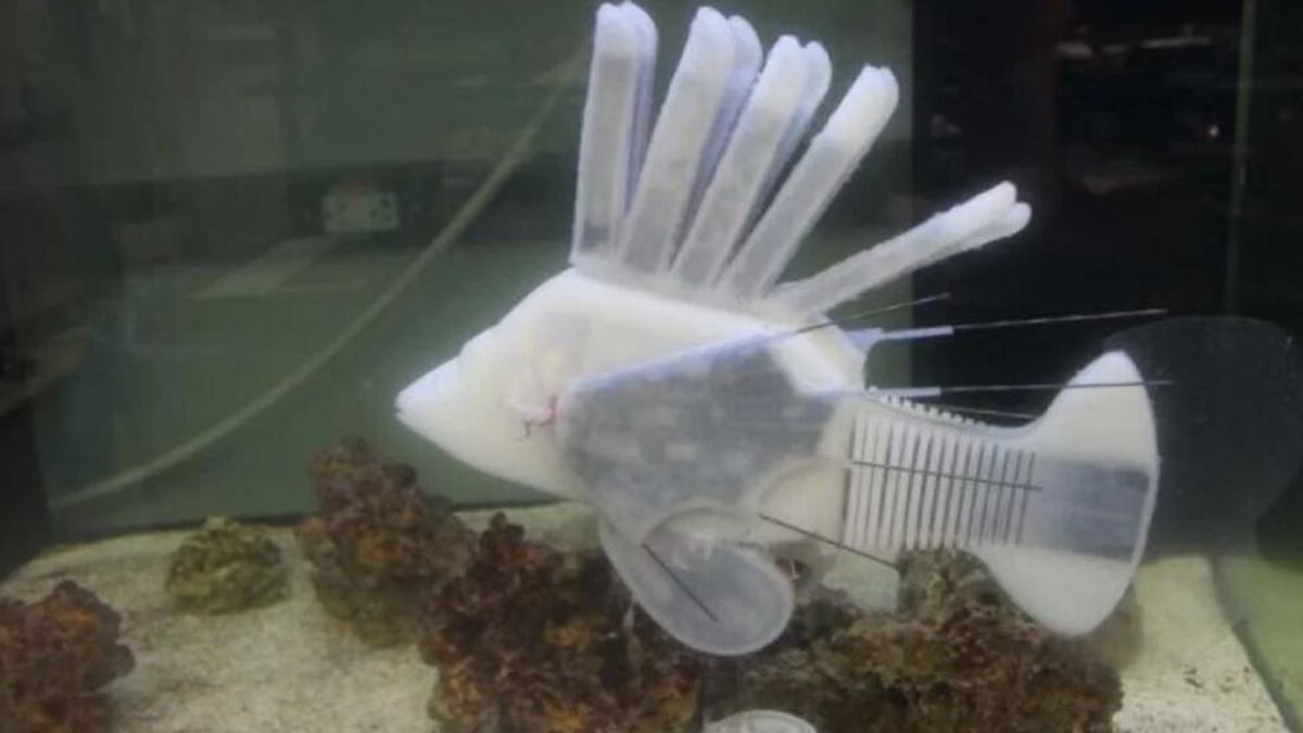 Crearon un pez robot capaz de nadar 36 horas en forma autónoma