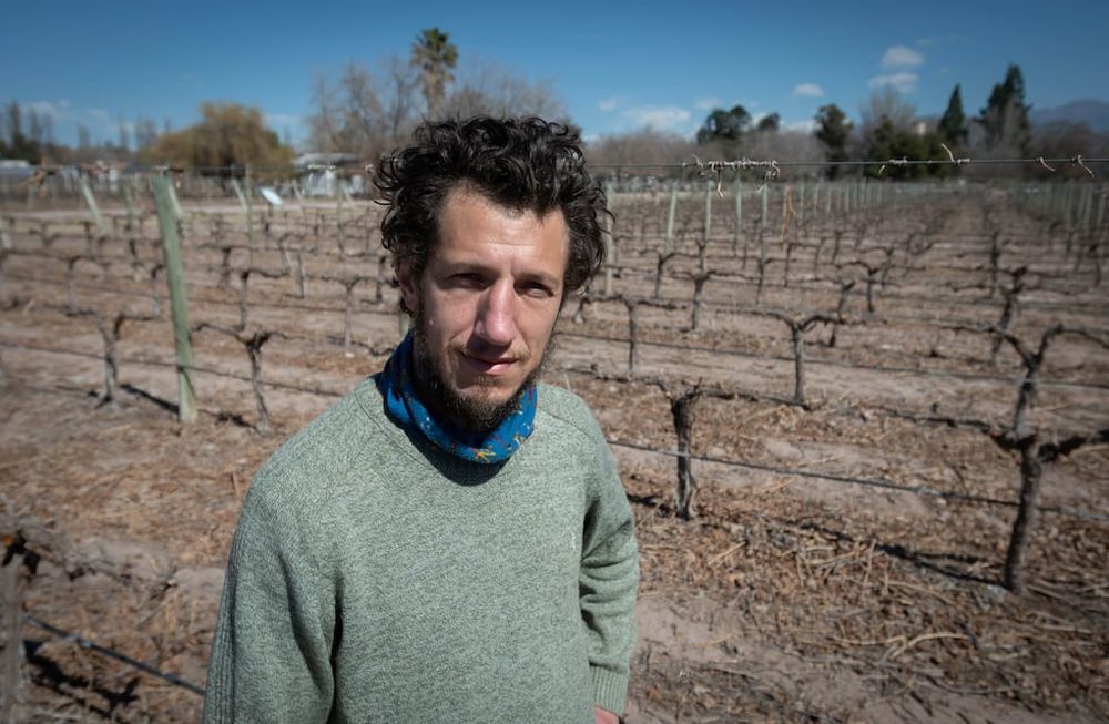 Jorge Prieto “La criolla chica está dando buenos resultados en vinos de ...