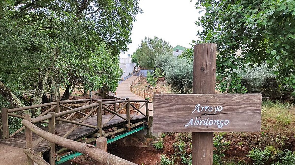 Así es el sorprendente puente internacional más corto del mundo: cuánto mide y dónde está ubicado