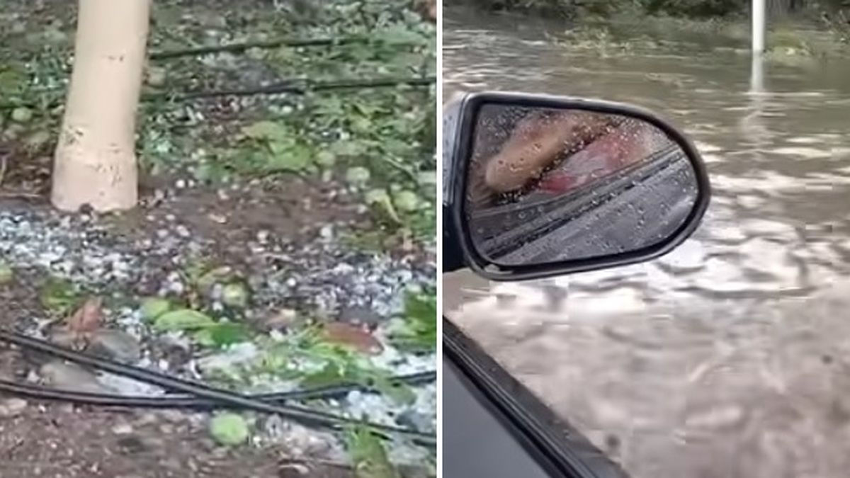 Fuerte temporal con granizo azotó a Tupungato: calles anegadas, árboles ...