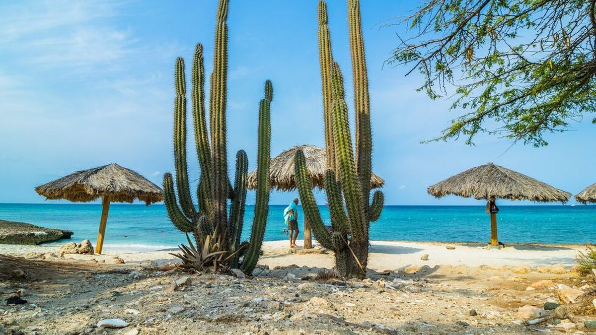 Aruba, una isla feliz
