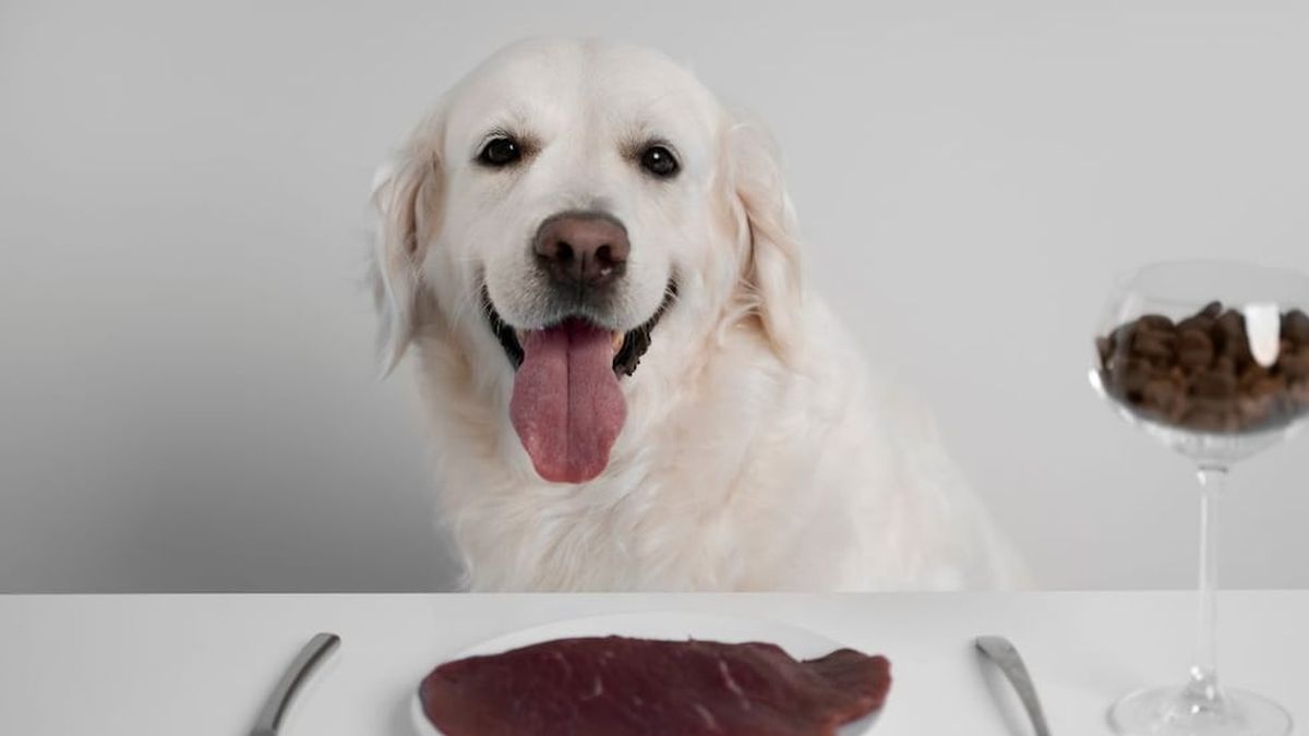 Cuáles son las 3 razas de perros que mas alimento comen