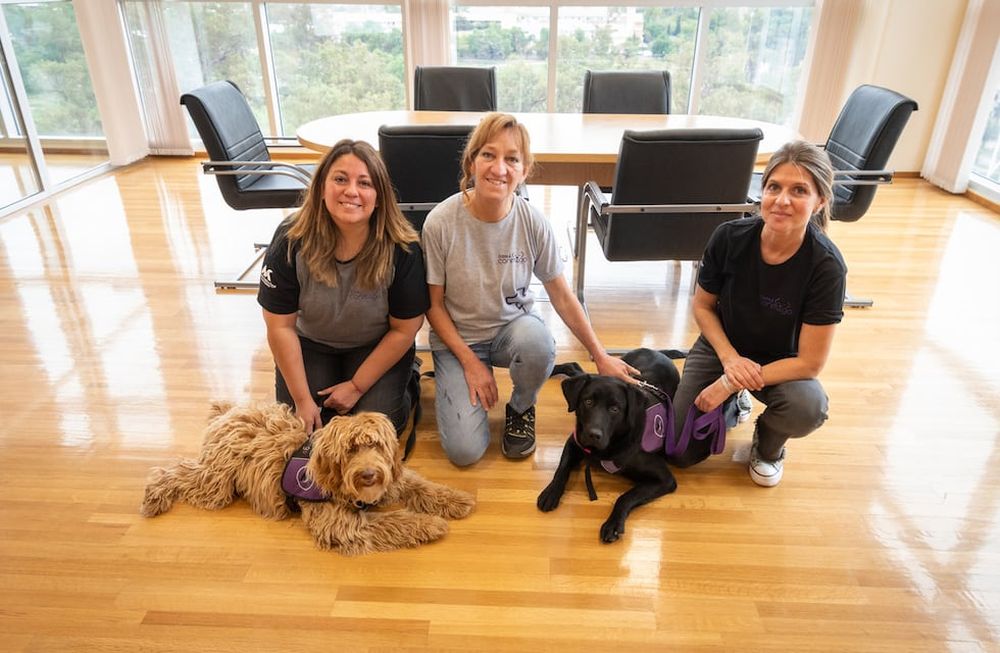 Mate, Pocha y Boris, los tres perros que acompañan a niños víctimas de ...
