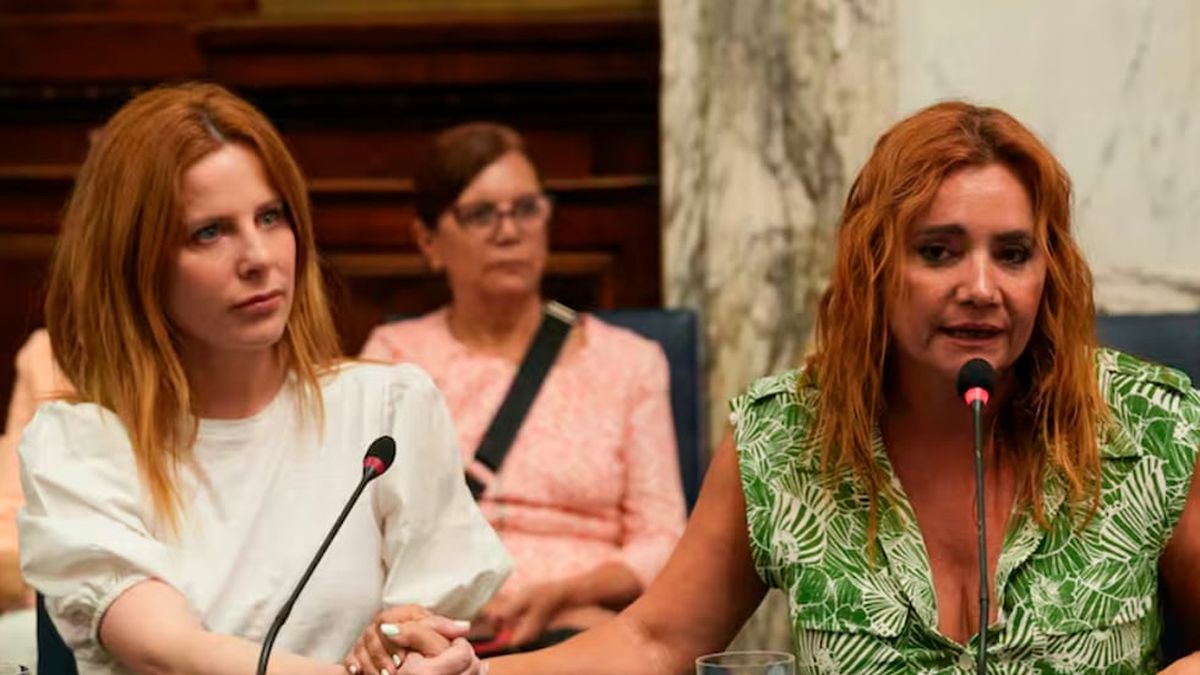 Nancy Pazos denunció que fue acosada por un ministro de Alberto ...