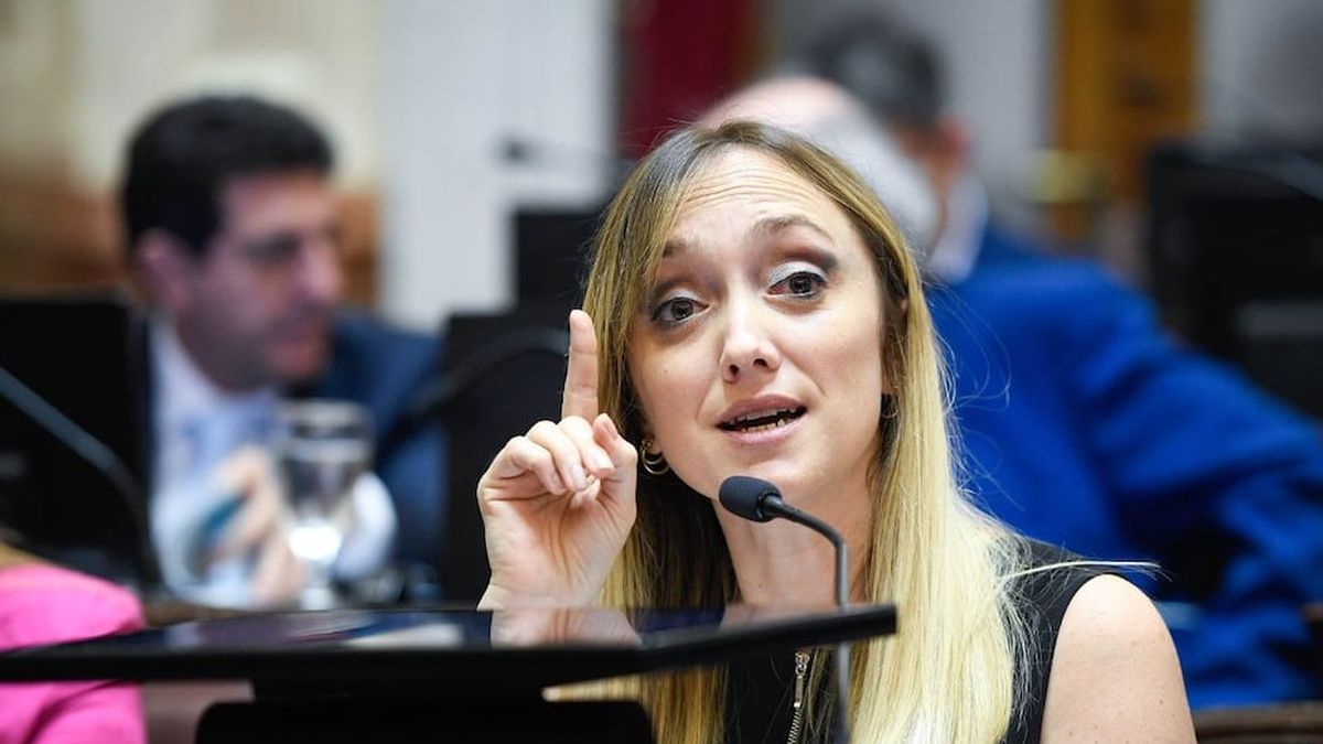 Anabel Fernández Sagasti criticó la privatización de Impsa: “Es una pésima noticia para Mendoza”