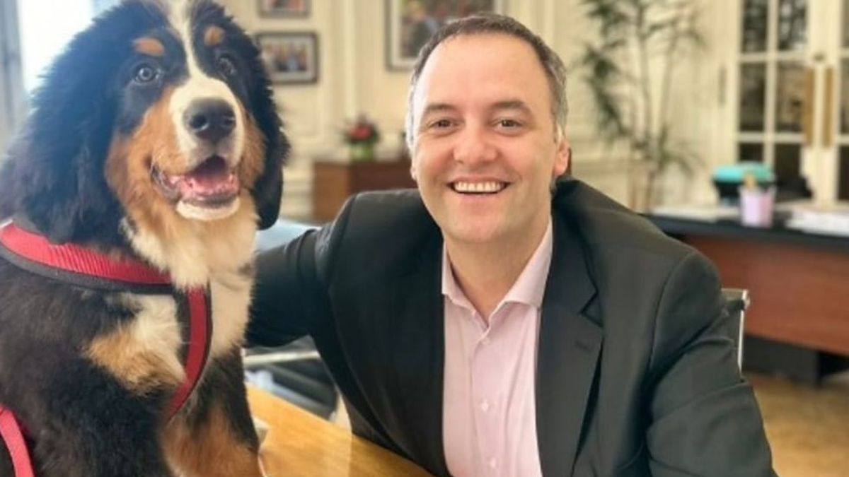 Cuál es la raza de Thor, el nuevo perro de la Casa Rosada, y cuánto sale