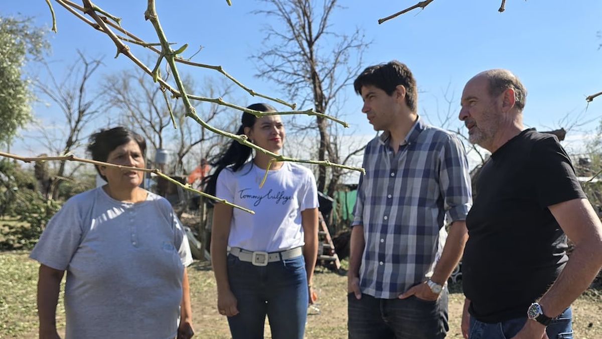 “Los daños en algunas fincas llegan al 100%”: qué deben hacer los ...