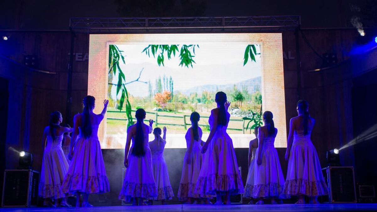 La Escuela Municipal de Danzas de la Ciudad cerró su año en el Mistral