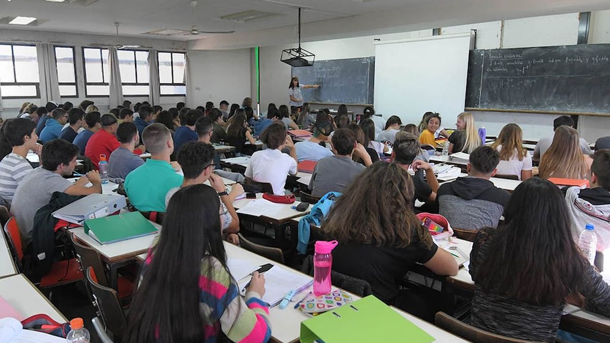 Qué y cómo eligen estudiar hoy en la universidad: crece el interés por las carreras cortas y las ...