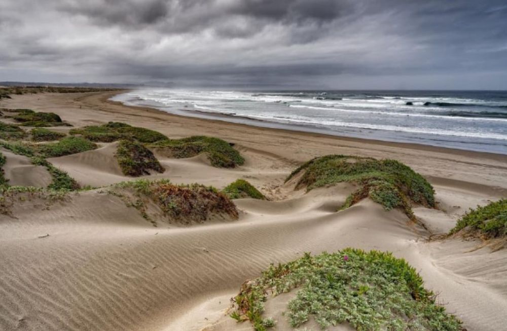 Dónde queda y cómo llegar a Ritoque, la tranquila playa de dunas y bosques a menos de una hora ...