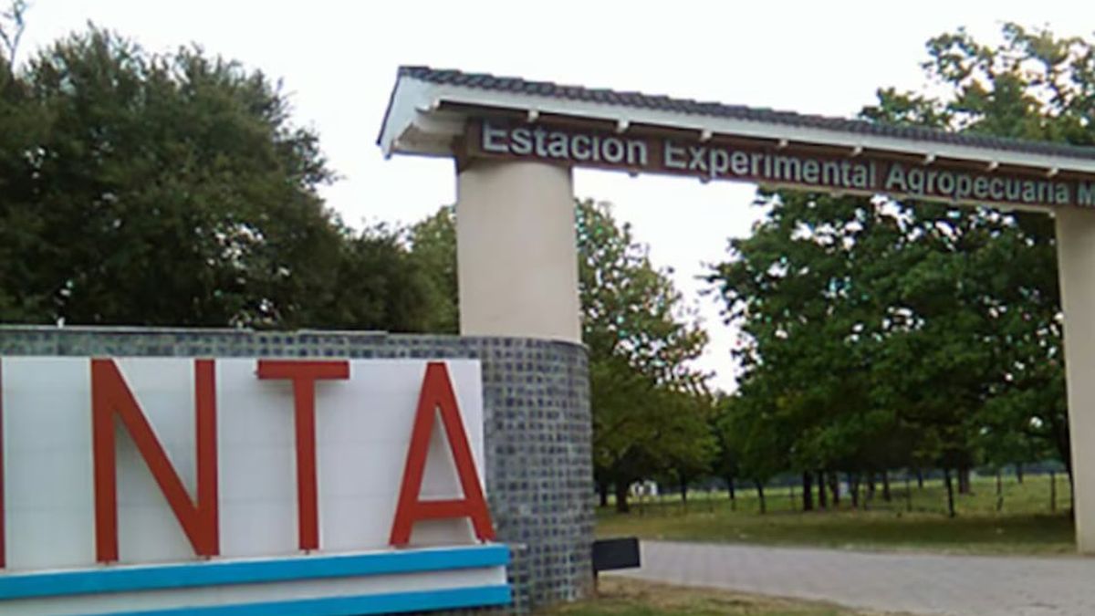 El INTA reformó sus procedimientos disciplinarios para agilizar ...