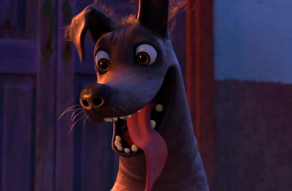 Cómo es el perro de Coco, una raza difícil de encontrar en Mendoza