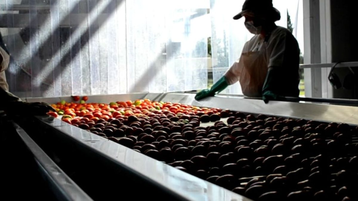 Las pulperas en el sur mendocino ganan mercados pese a los avatares del ...