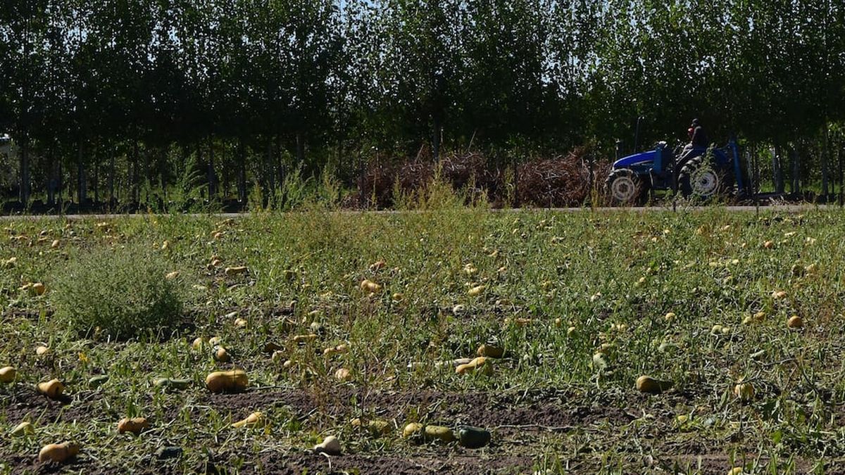 El problema del minifundio