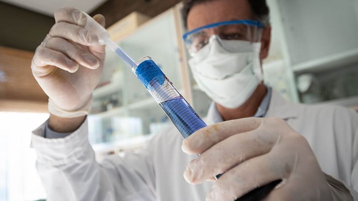 El desafío de Darwin