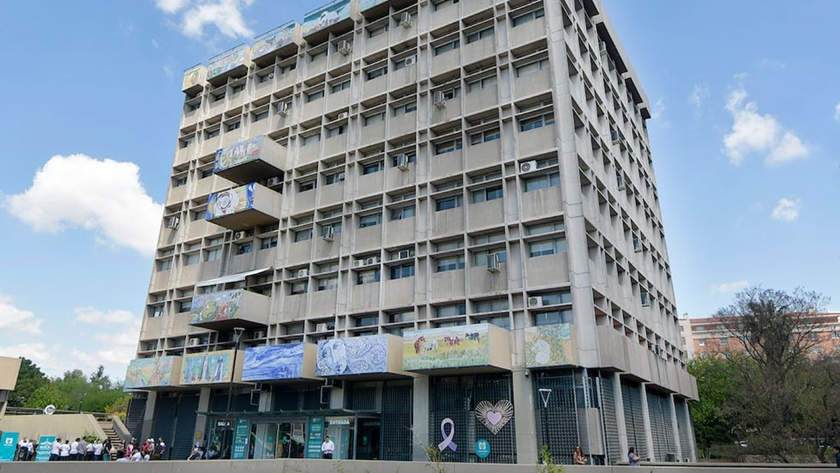 Joyas arquitectónicas de Mendoza: jardines, obras de arte, microcine y una terraza para observar ...