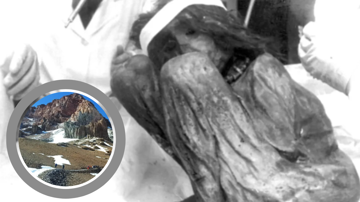 El niño del Aconcagua vuelve a su montaña: la historia del ...