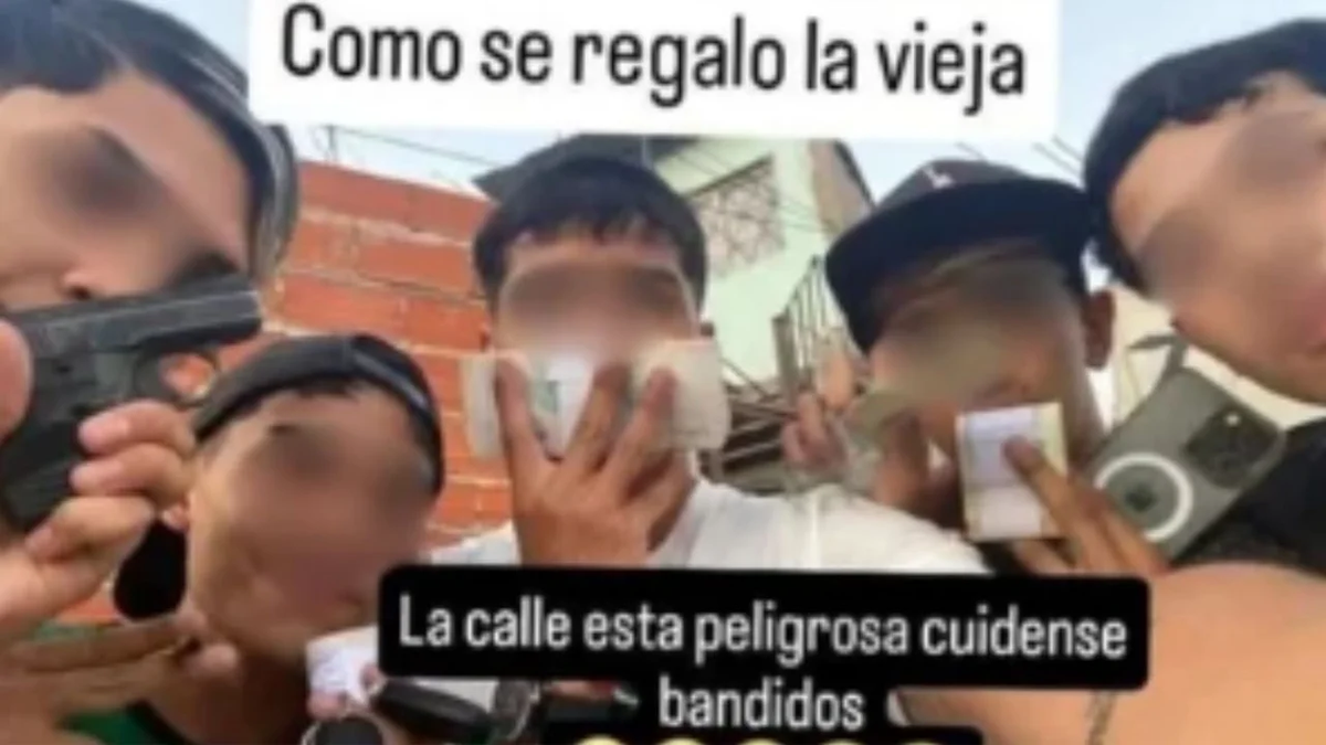 Los amigos de los ladrones que le robaron a una jubilada publicaron una ...