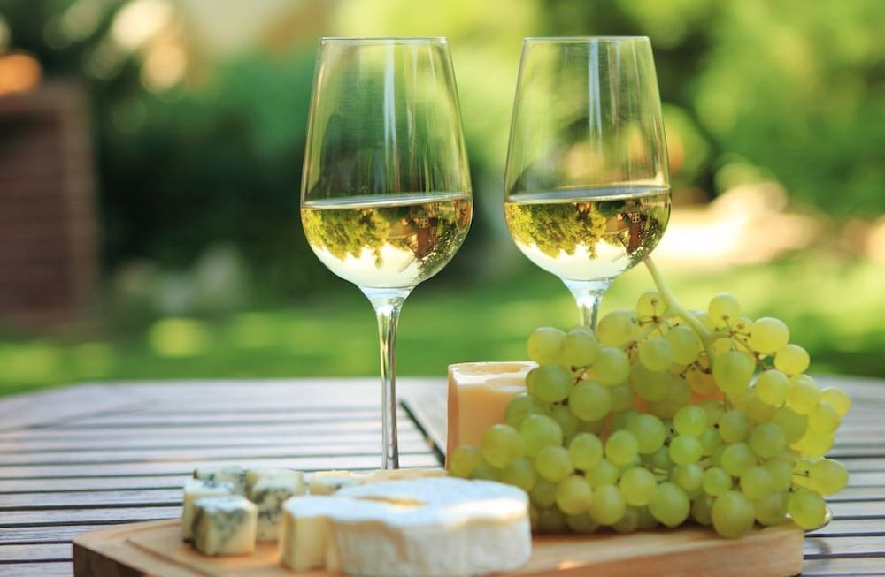 El torrontés y el misterio de su origen en la Argentina