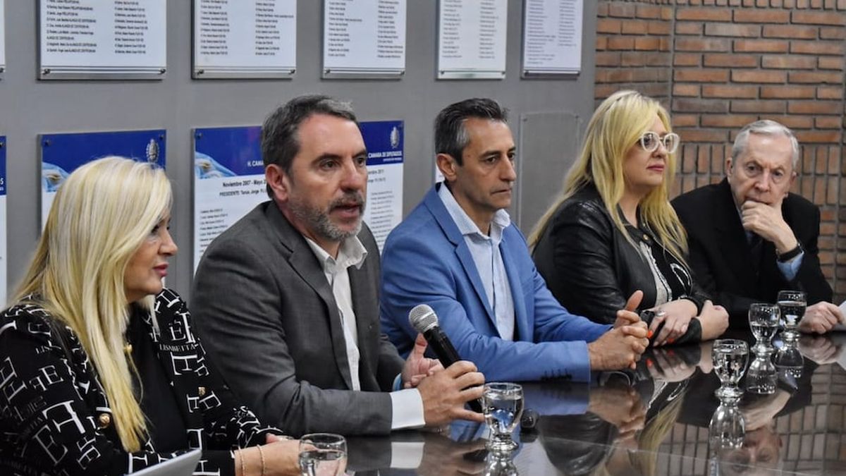 Décadas de espera: diputados reclaman agilizar pago de acciones a ...