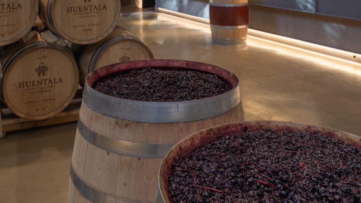 La feria Alta Gama llega en diciembre con una edición dedicada a vinos ...