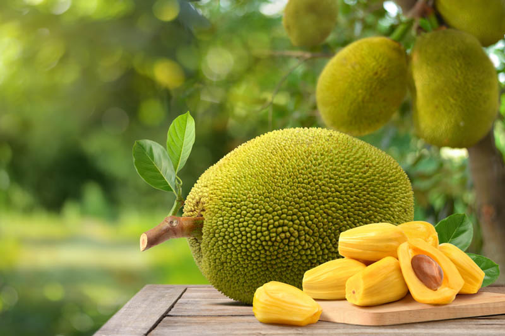 Cuál es la fruta tropical que podría cambiar para siempre el ...